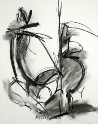 Richard Taransky Studio – An Architecture of Ecology